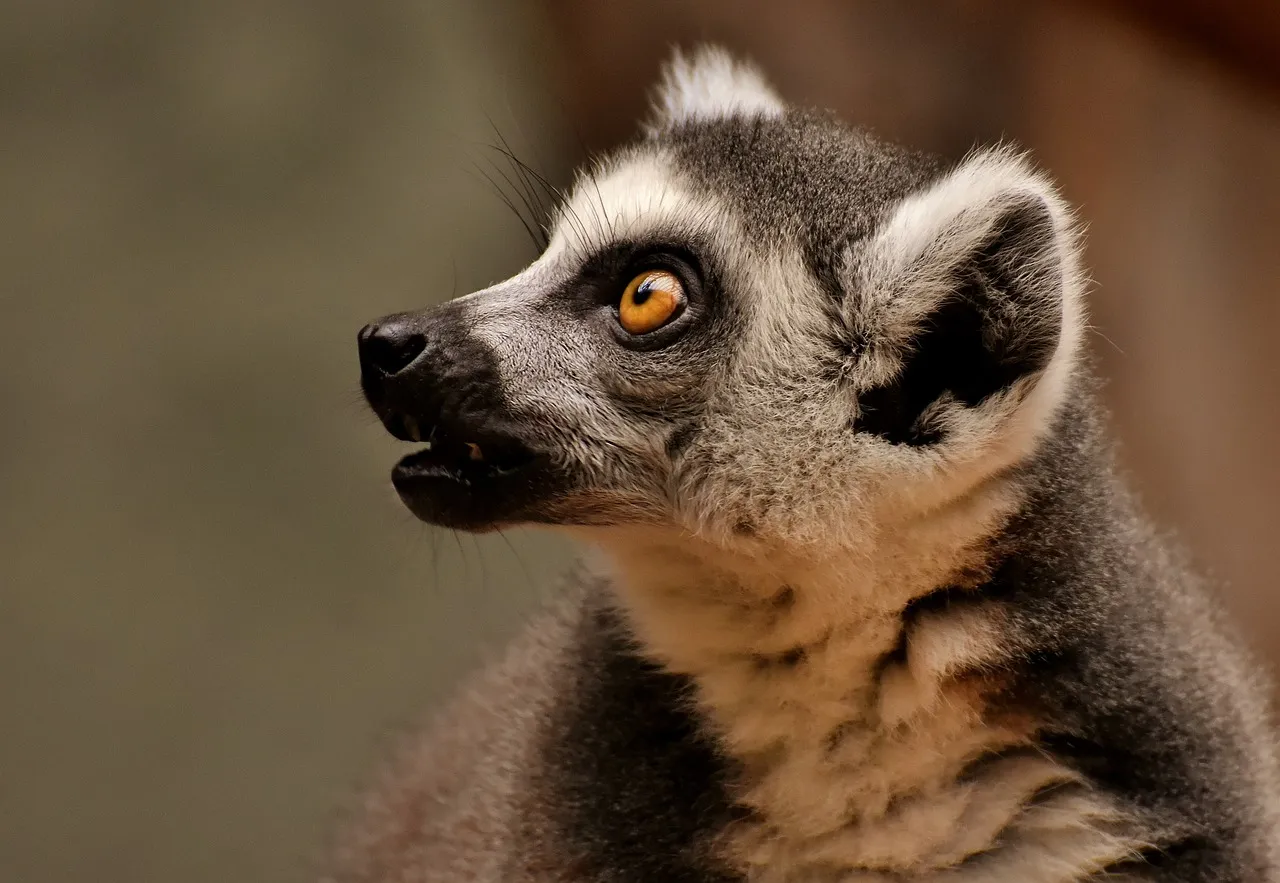 Zoo w Polsce - Ranking, ceny i porady. Wybierz idealne!