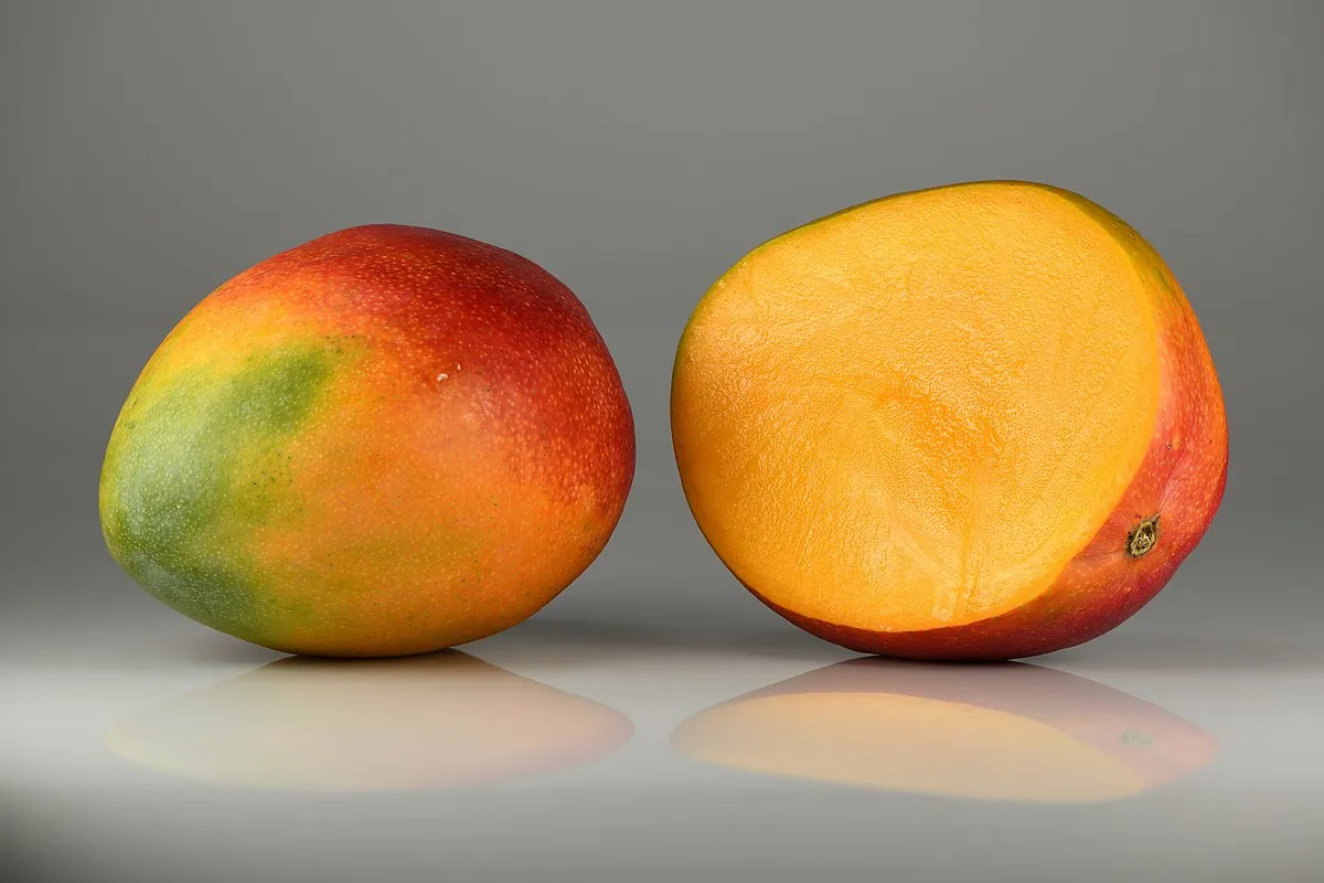 Poznaj wszystkie miejsca gdzie rośnie mango - lista najpopularniejszych ...